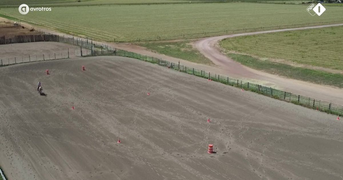 MolActies: Opschieten | afl. 7 | Wie is de Mol?